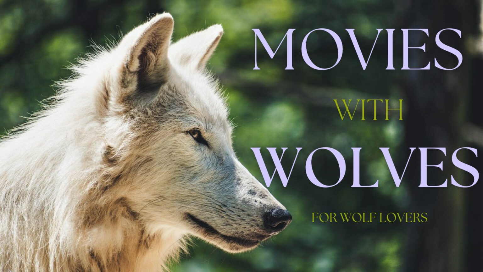 16 Movies With Wolves in Them: For Wolf Lovers (no werewolves ...