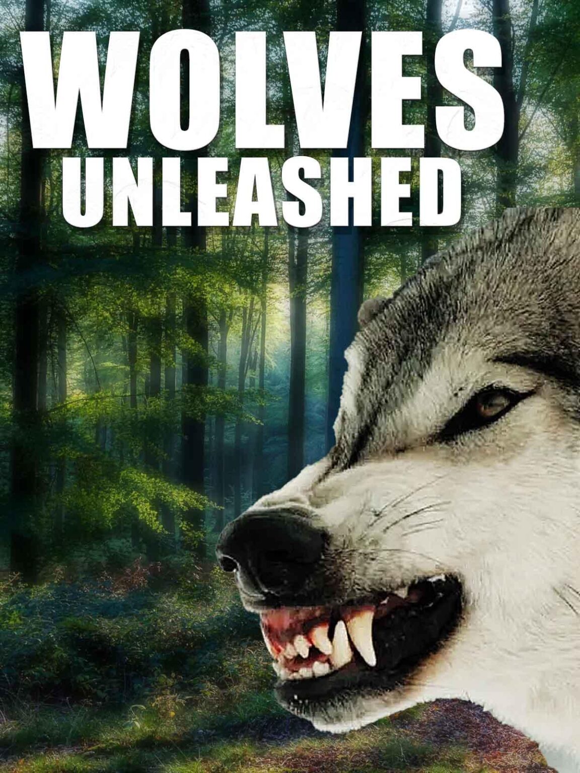16 Movies With Wolves in Them: For Wolf Lovers (no werewolves ...