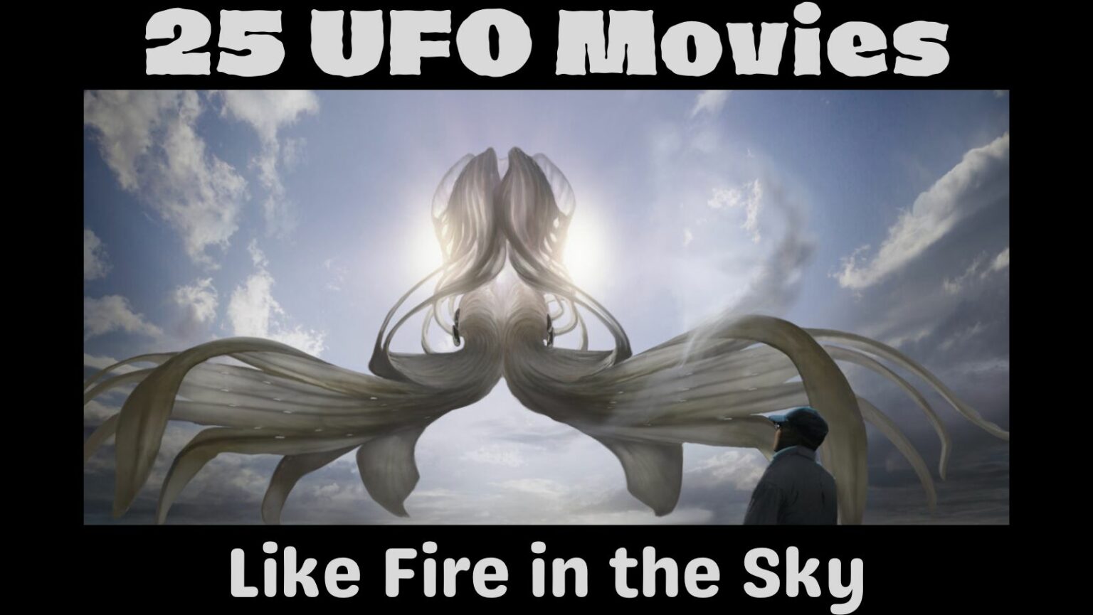Like This Watch That: 25 UFO Movies Like Fire in the Sky ...