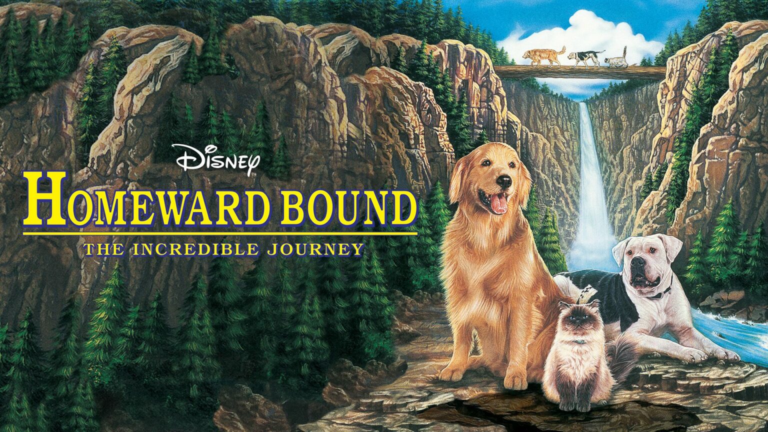 35 Family Friendly Dog Movies for Kids Who Love Animals ...