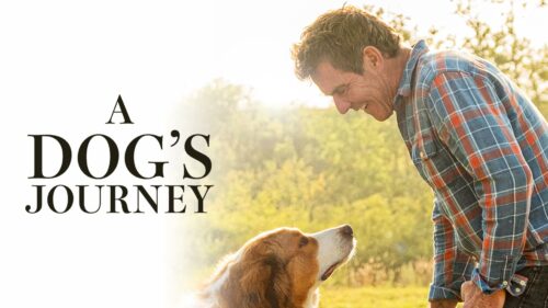 35 Family Friendly Dog Movies for Kids Who Love Animals ...