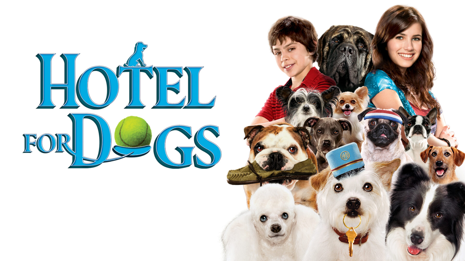 35 Family Friendly Dog Movies for Kids Who Love Animals ...