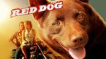 35 Family Friendly Dog Movies for Kids Who Love Animals ...