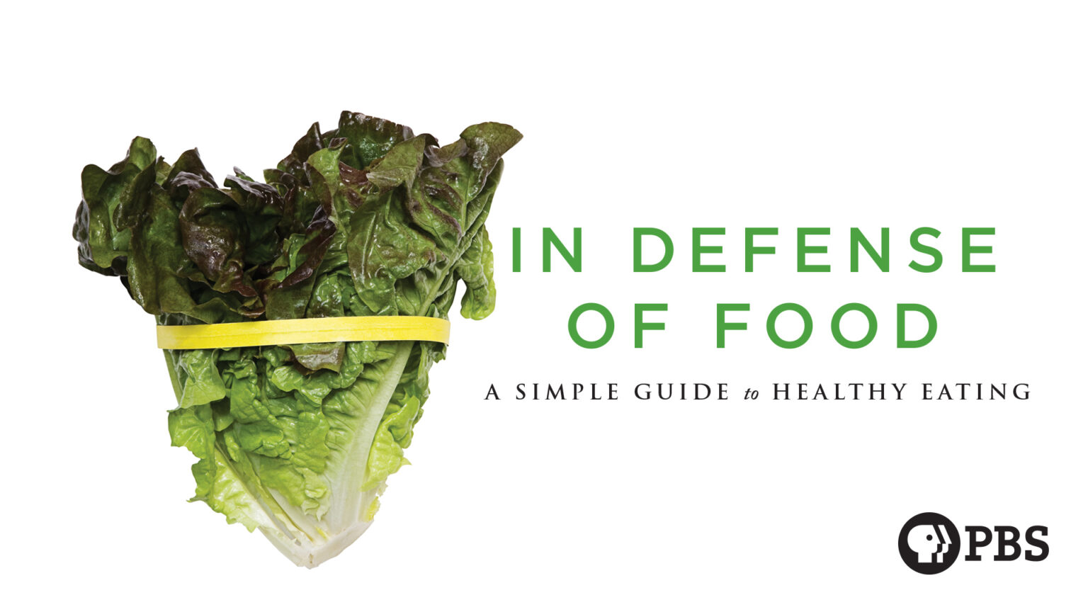 22 Best Health Documentaries About Food: Inspiration to Change Your ...