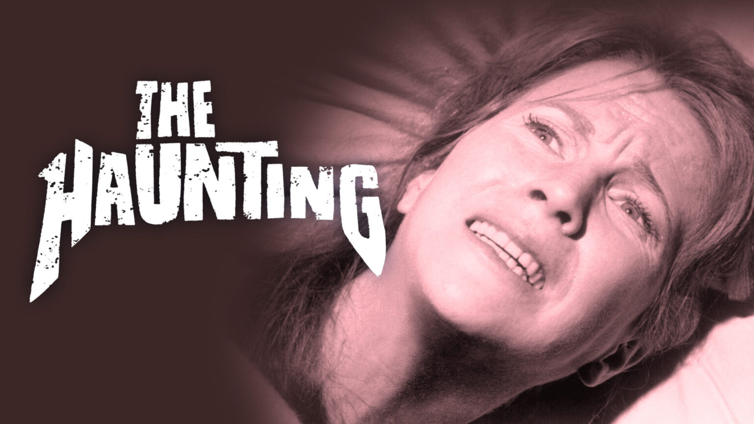 List of 29 Queer Friendly LGBTQ+ Horror Movies - MovieListicles.com